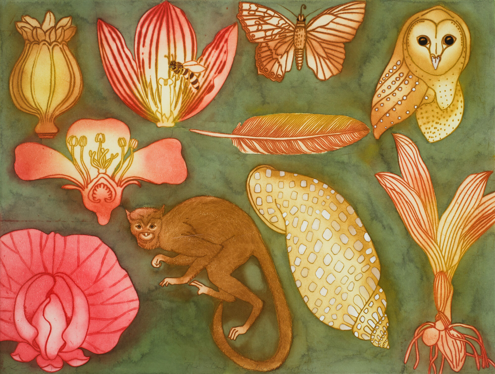 Mandy Renard – Handmark