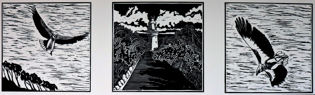 Diane Masters with Michaye Boulter, Katherine Cooper + Melissa Smith ...