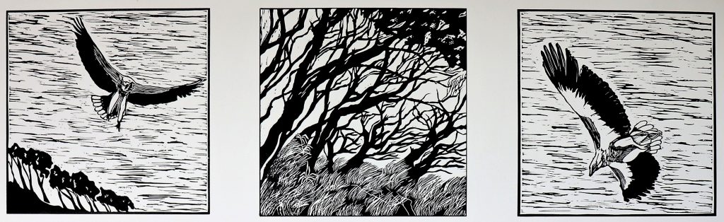 Diane Masters with Michaye Boulter, Katherine Cooper + Melissa Smith ...