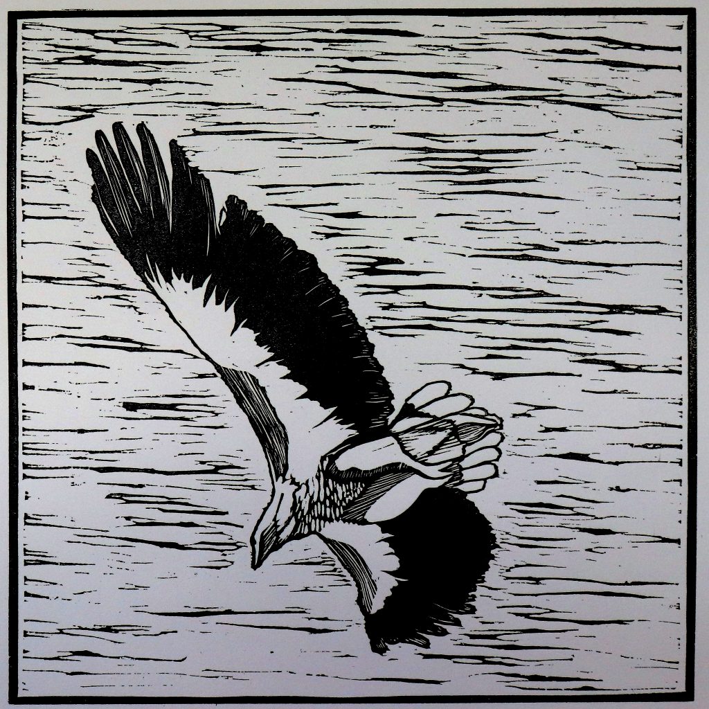 Diane Masters with Michaye Boulter, Katherine Cooper + Melissa Smith ...