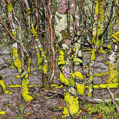 Summer Salon – Handmark