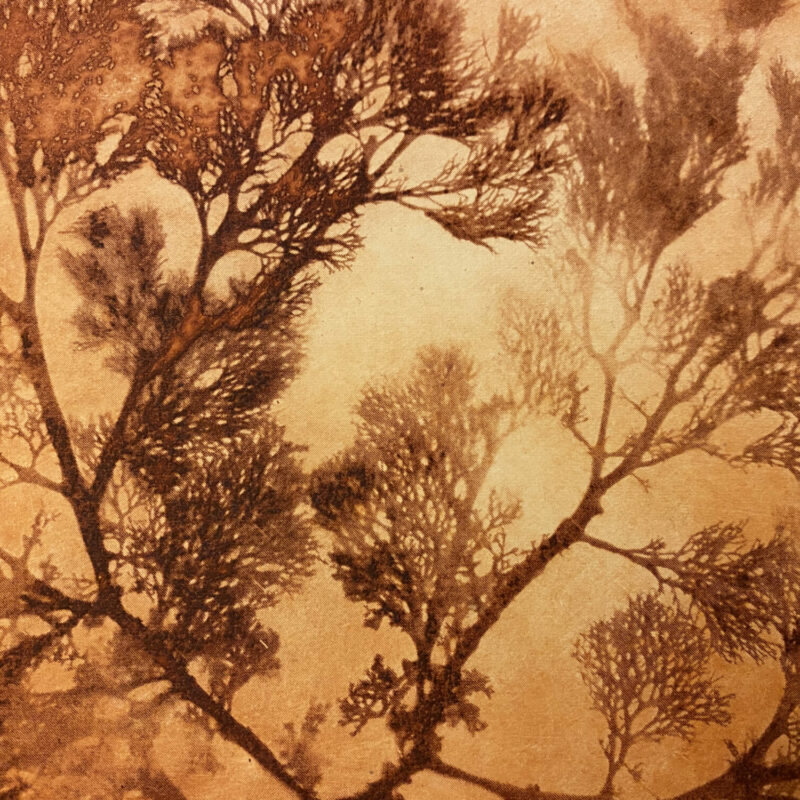 Junko Go – Handmark