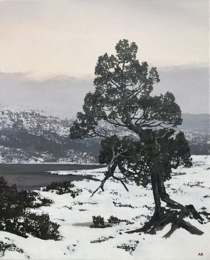 Celebrating our landscape – Handmark