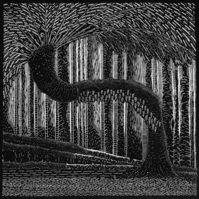 Celebrating national tree day – Handmark